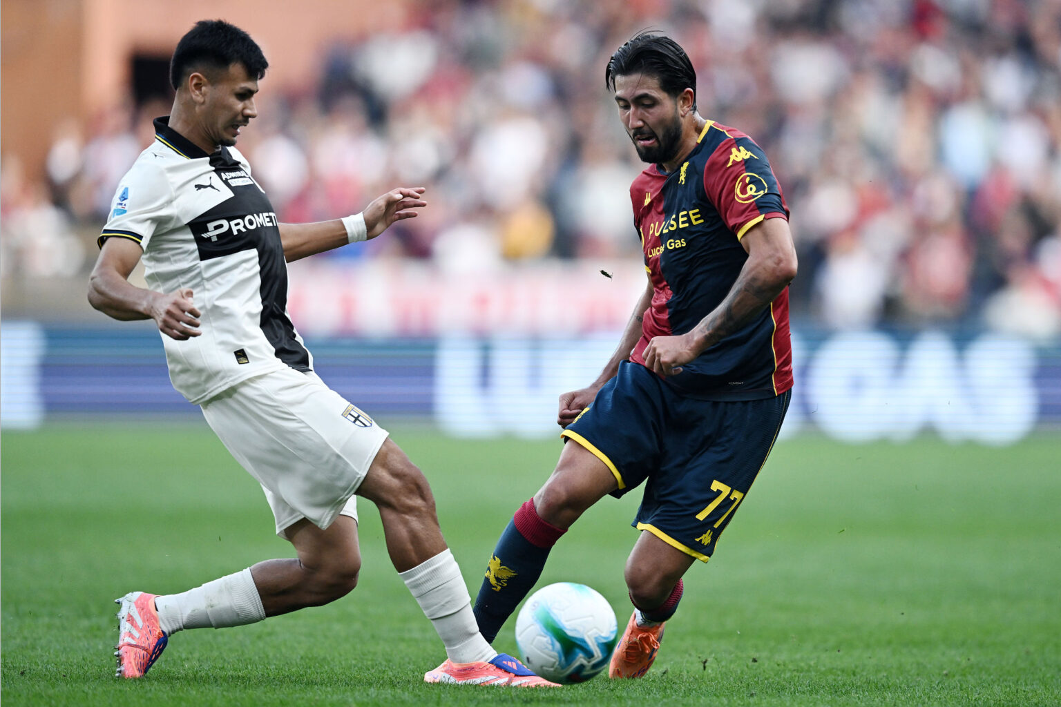 Torino-Genoa, dove vederla in diretta streaming